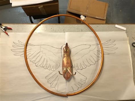 Vitruvian Raven Baran Mickle