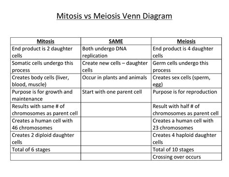 Mitosis Meiosis Venn Diagram Exatin Info