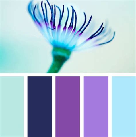 Сочетание цвета красота и мода — Фото Ok Ru Purple Color Palettes Color