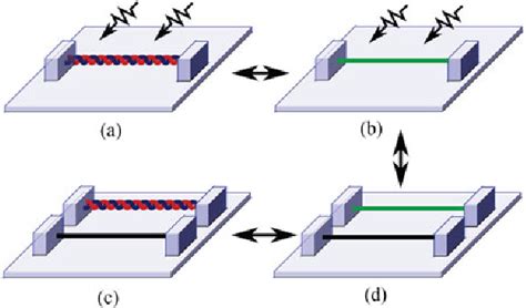 Figure 1 From Reproducing Field To Wire Coupling Effects In Twisted Wire Pairs By Crosstalk