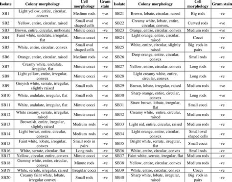 Morphological Characters Of Bacterial Endophytes Isolated From Roots Of Download Scientific