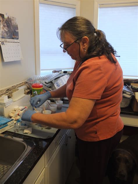 Fecal Float Testing On The Hunt For Chicken Parasites Bitchin Chickens