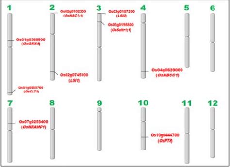 A Genomic Atlas Of Genes Encoding For Molecular Determinants Of