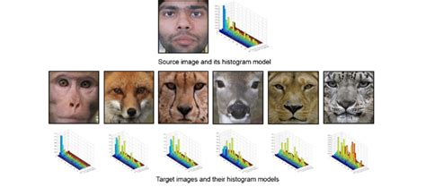 source and six different target images with their histogram models download scientific diagram