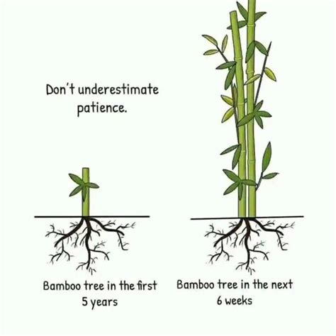 Crs Info Solutions On Instagram Some Growth Doesnt Show For Years