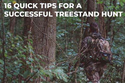 Quick Tips For A Successful Treestand Hunt Hunting Magazine