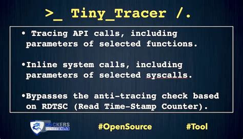 tiny tracer pin tool for tracing api calls
