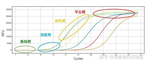实验技巧 搞定qpcr数据分析 知乎