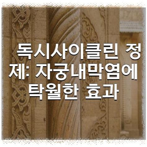 독시사이클린 정제 자궁내막염에 탁월한 효과