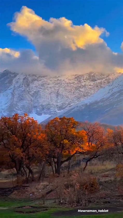 ‎هورامانطبیعت‎ ‎به‌زمی وه‌ش و هوورپرای وه‌ش پیشکه‌شتا بو👌 هورامان