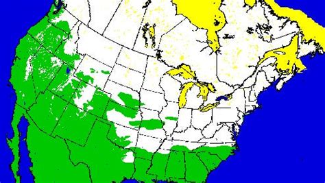 North American Snow Cover At 3rd Highest Level On Record