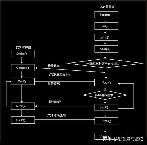 物联网lwip网络开发（一）：socket编程 知乎