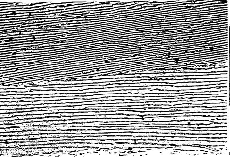 Figure 3 From Directional Solidification Of Pb—sn Eutectic With Vibration Semantic Scholar
