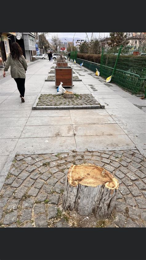 Монголын ЗАЯА On Twitter Ажлаа мэдэхүй хотын менежер Баяраа гэж хужаа царайтай дурак байна аа