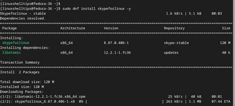 How To Install Skype In Fedora Linux