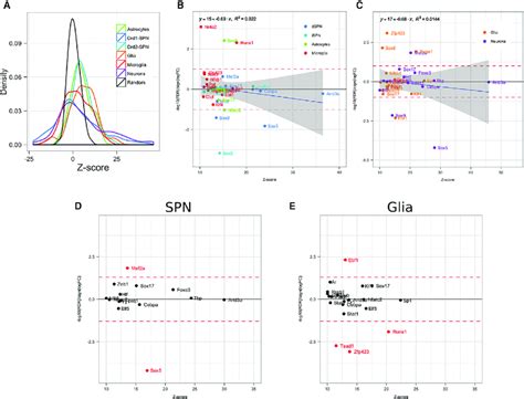different sets of transcription factors regulate cell type enriched
