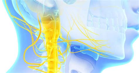 Somatic Tinnitus The Optimal Treatment Plan Neuromed Tinnitus Clinic