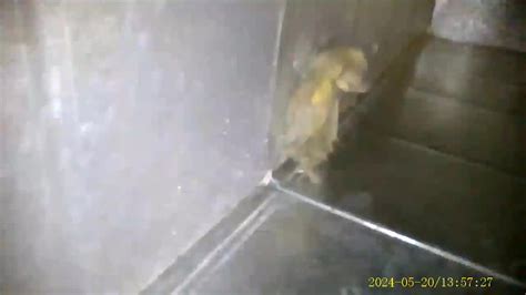 mohammad ehsan on linkedin another day and another inspection at a client facility for our vortex…