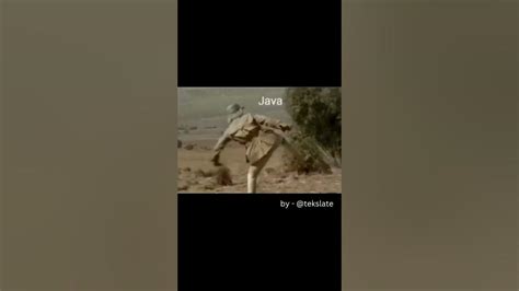 😅 Java Vs C Ai Developermemes Codingmemes Funny Comedy