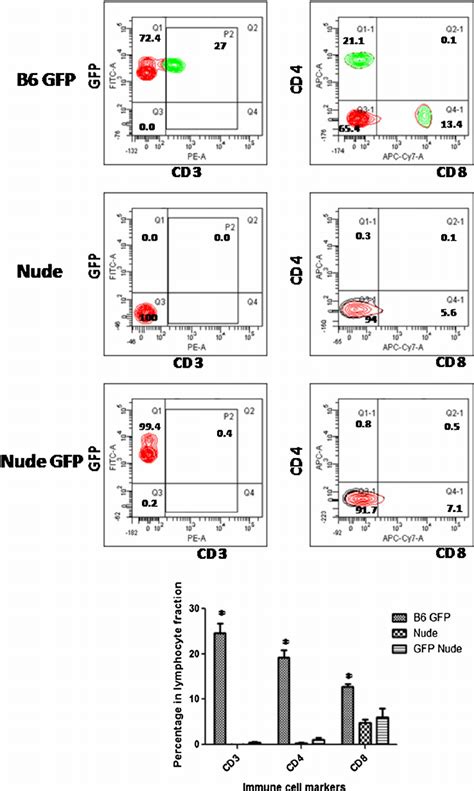 Flow Cytometry Analyses The Figures Shown Are Contour Plots At 5
