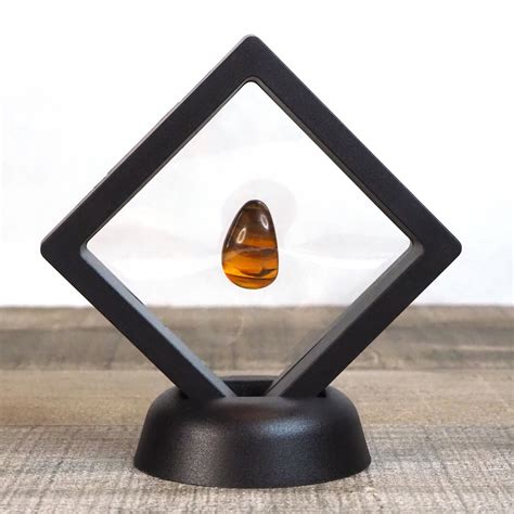 Myanmar Amber With Cockroach Insect Inclusion In Floating Display Frame Etsy