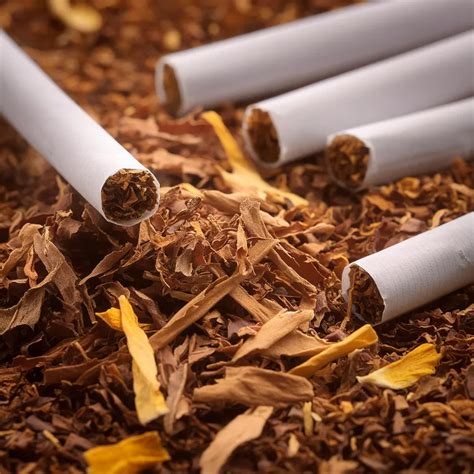 Tobacco Resources Fire Cured Tobacco