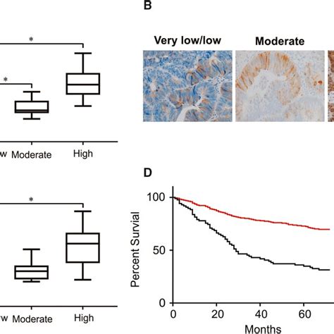 The Clinical Relevance Of Increased Brd4 Mrna And Protein Expression In Download Scientific