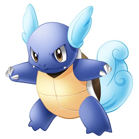 Wartortle Pokemon Agile Swimmer Evolutionary Stage Fluffy Tail