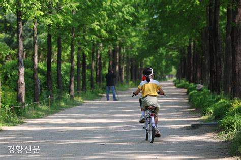 다시 포근한 봄 날씨…내일도 따뜻해요 [정동길 옆 사진관]