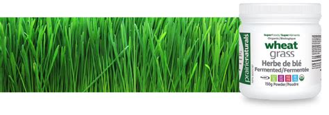 5 Science Backed Benefits Of Organic And Fermented Wheatgrass Prairie