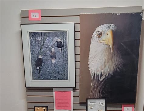 Bald Eagle Interpretive Center Skagit River Bald Eagle Interpretive