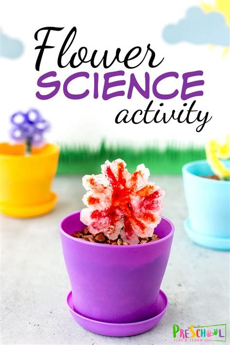 🌺 Flower Science Experiment For Preschoolers