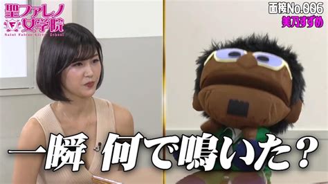 ㅇㅎ 성진국 Av배우의 유튜브예능학교01 입학면접미노 스즈메 유머움짤이슈 에펨코리아