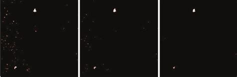 Fixed Thresholding Detector Download Scientific Diagram