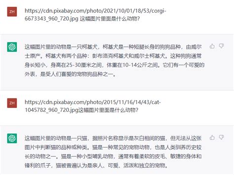 用chatgpt做猫狗识别，cool 阿里云开发者社区