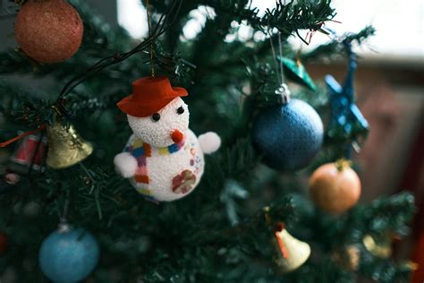 Issue 3 January — The Python Post