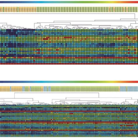 Antigen Array Profiling Identifies A Distinct Autoantibody Biosignature