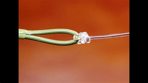 Fly Fishing Leader Knots