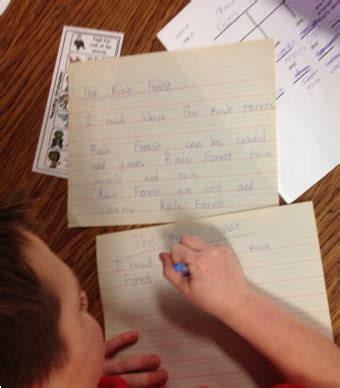 Toad Ally Exceptional Learners Differentiation