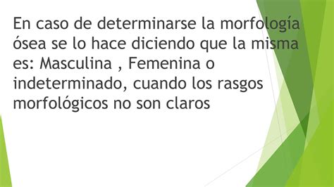 Dimorfismo Sexual Tema 3 Concepto Y Evoucion Ppt