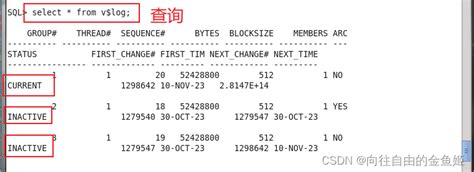 Oracle数据库日志操作与归档模式 Csdn博客 Oracle数据库日志操作与归档模式 Csdn博客