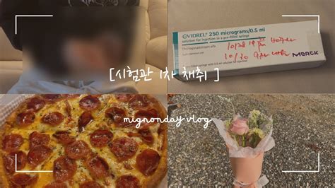 시험관 Vlog 시험관브이로그 👼🏻 시험관1차 난자채취 난임일기 📝 Youtube