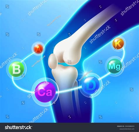 Multivitamins Revolve Around Bone Leg Mass Stock Vector Royalty Free