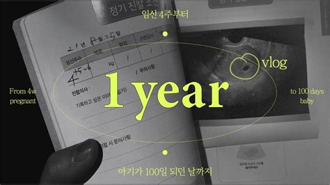 1year Vlog 임신부터 출산 그리고 아기가 100일이 되던 날까지 전과정을 담은 기록 1년 브이로그아빠 시점