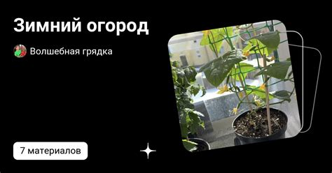 Зимний огород Волшебная грядка Марины Шевляковой Дзен