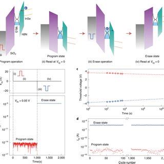 Two Dimensional InSe Based Floating Gate Memory Device With Large Download Scientific Diagram