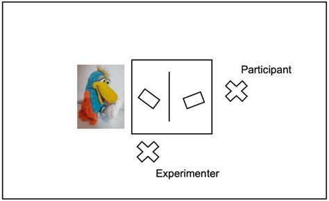 The Experimental Set Up Showing The Participant The Experimenter