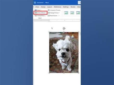 Blur An Image In Microsoft Word Shorts Artofit