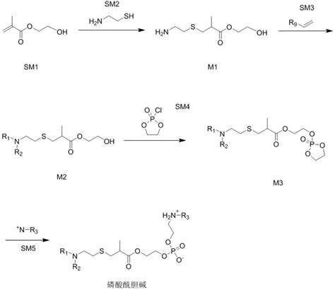 一种磷酯酰胆碱结构化合物及其制备方法 爱企查