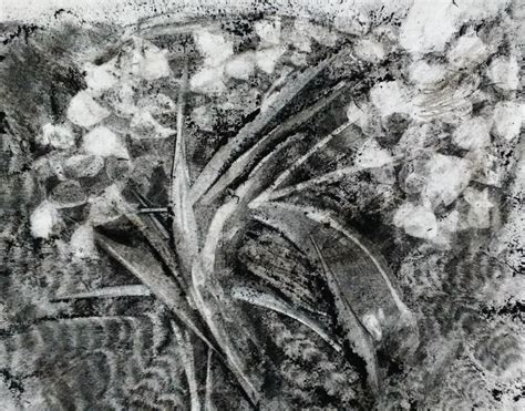 Pintura Com Carvao Vegetal Flores By Pinturacomcarvao On Deviantart